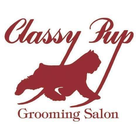 CLASSY PUP - Updated April 2026 - 1542 W Eisenhower Blvd, Loveland ...