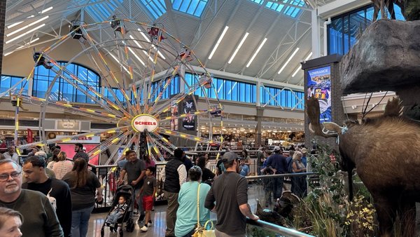 SCHEELS - Updated January 2025 - 95 Photos & 17 Reviews - 6929 S ...