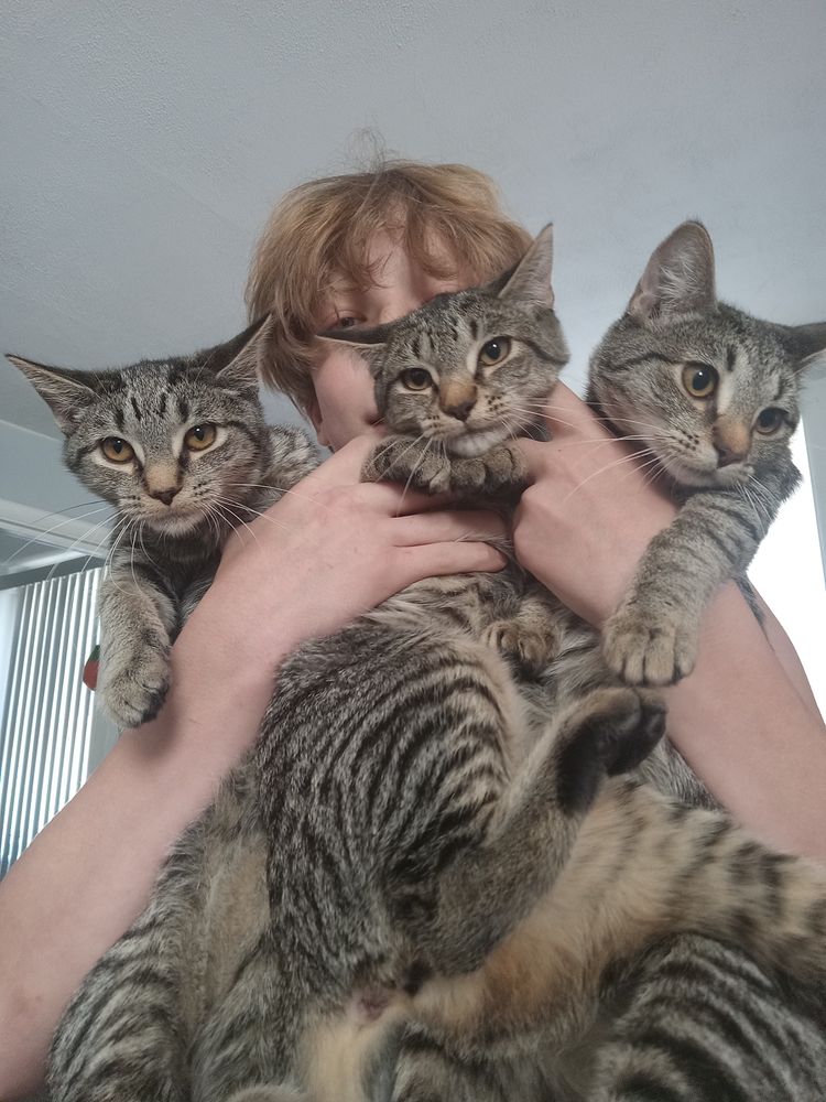 ALL LIVING THINGS RESCUE & SANCTUARY - Updated December 2025 - Carlisle ...