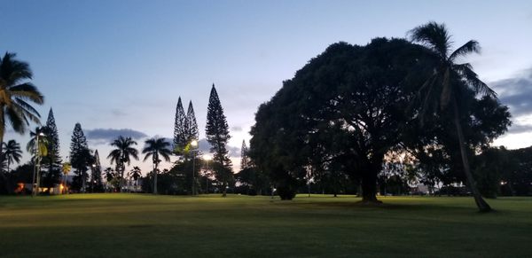 KE’ALOHI PAR 3 GOLF COURSE - 42 Photos & 20 Reviews - Golf - 185 ...