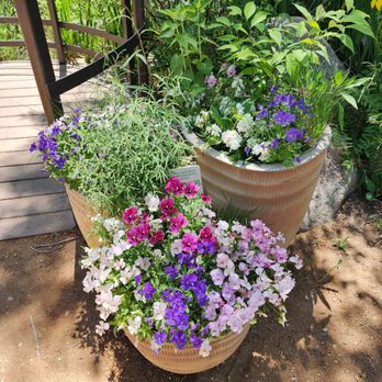 ABQ BIOPARK BOTANIC GARDEN - Updated December 2025 - 1307 Photos & 168 ...