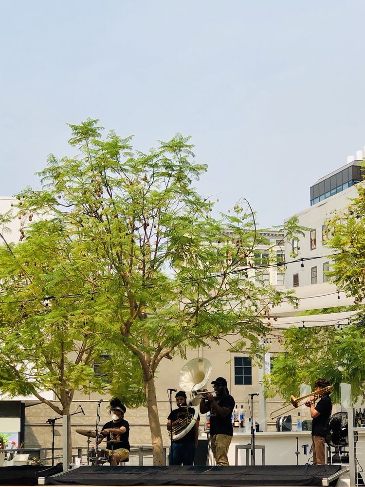 TAHOE BLUE RIDGE BAR - Updated July 2025 - David J Stern Walk ...