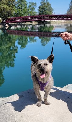 SECCOMBE LAKE PARK - Updated July 2025 - 20 Photos & 17 Reviews - 160 W ...