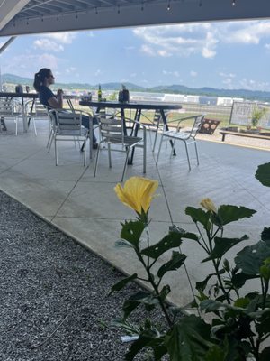 ALPHA CHARLIE GRILL - Updated August 2024 - 68 Photos & 18 Reviews ...