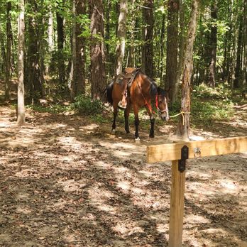 CLOVERLAND RANCH - Updated December 2024 - 36 Photos & 19 Reviews - 351 ...