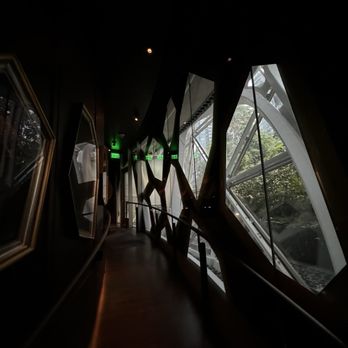 DEEP DIVE - Updated September 2024 - 537 Photos & 272 Reviews - 620 ...