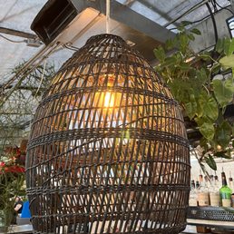 THE GREENHOUSE BAR - Updated May 2025 - 409 Photos & 336 Reviews - 2211 ...