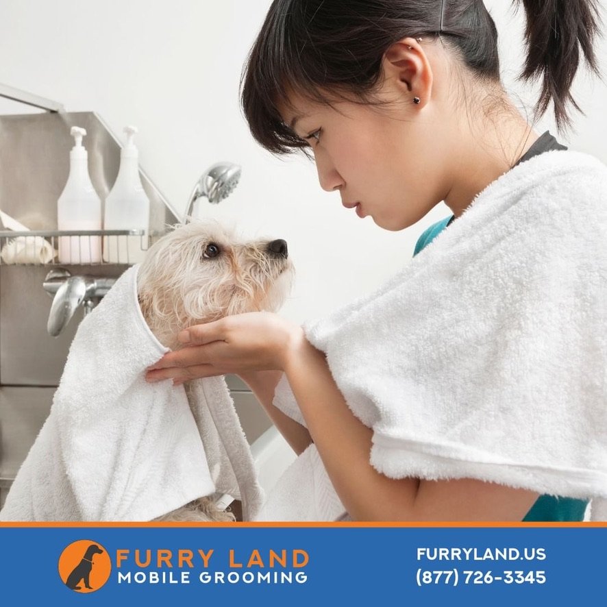 FURRY LAND MIAMI - 12 Photos - 18333 NE 4th Ct, Miami, Florida - Pet ...