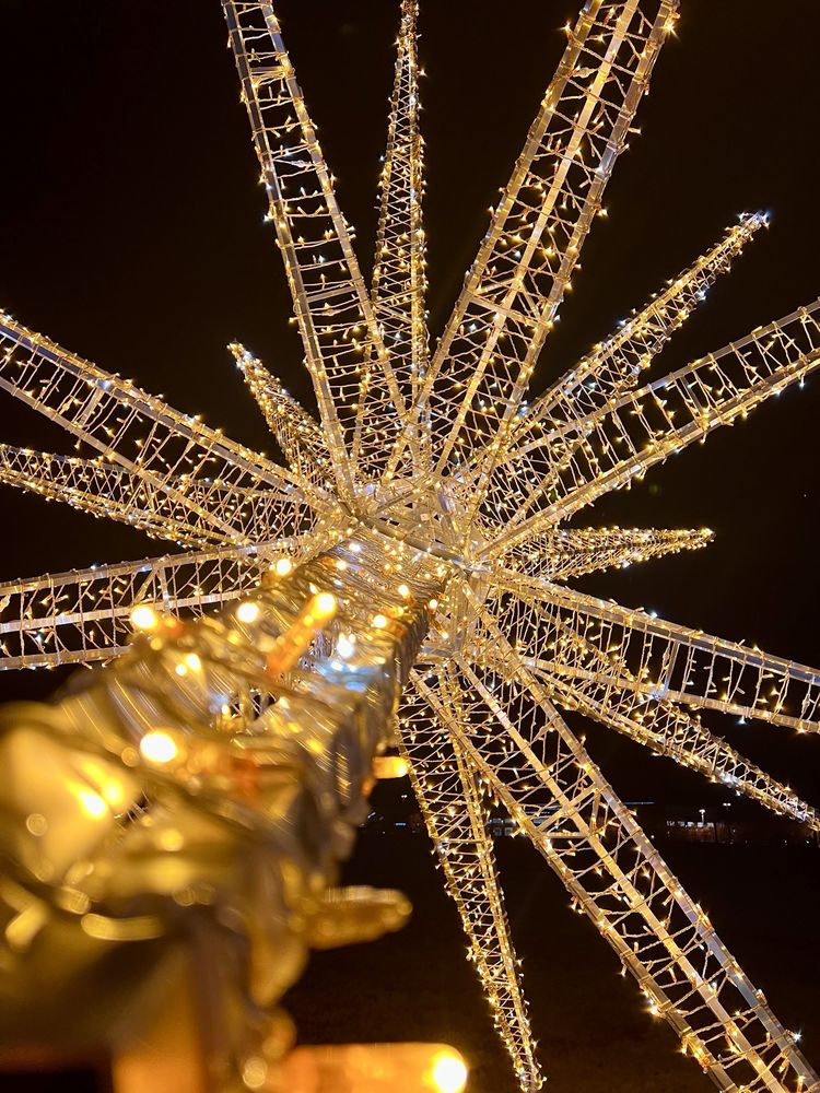 MITCH PARK - Updated July 2025 - 65 Photos & 18 Reviews - 1501 W Covell ...