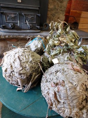 FIN FUR & FEATHER BY PARKS - 18 Photos - 17770 N State Rte 44, Lock ...