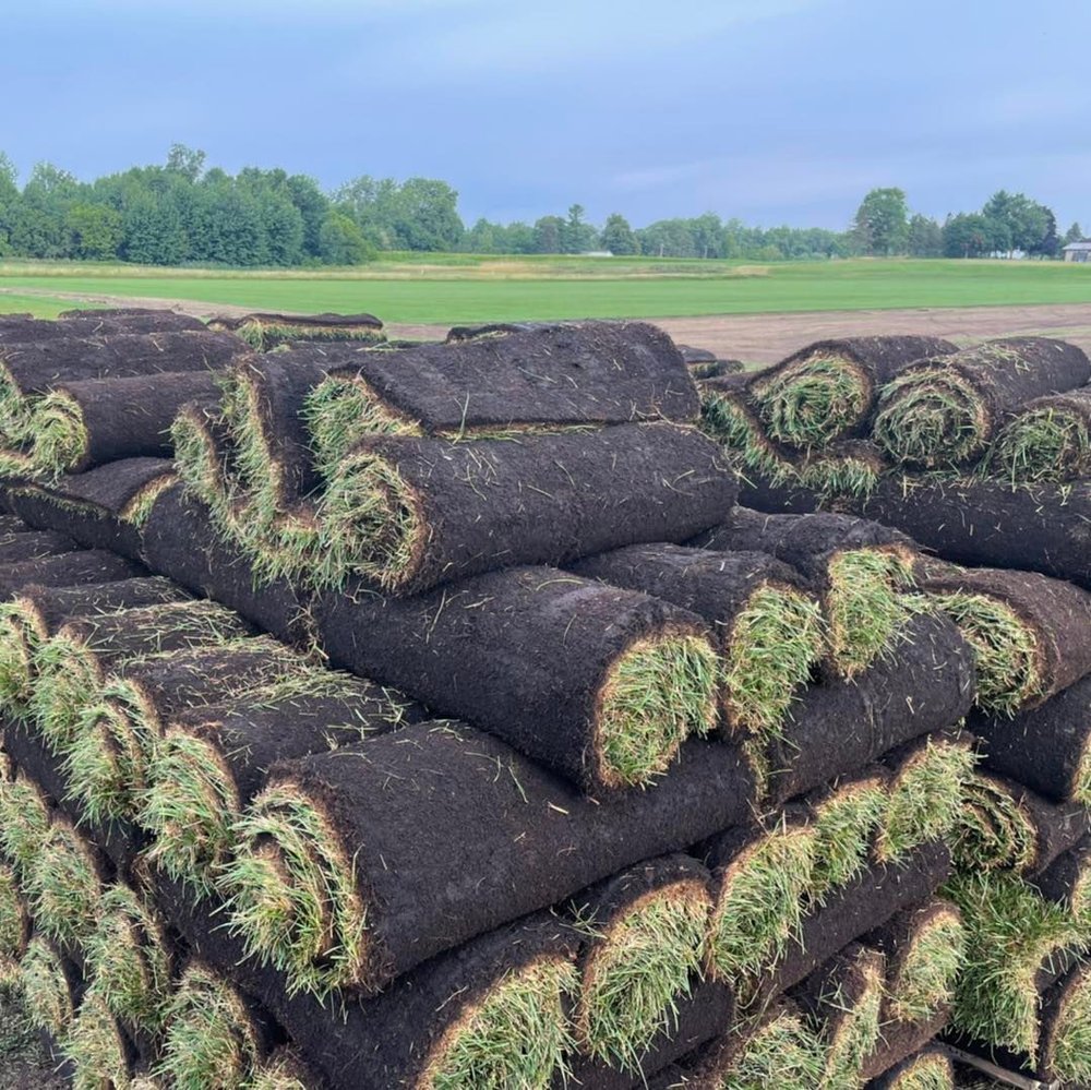 GEO LAND LANDSCAPING - 19 Photos - Markham, Ontario, Canada - Fences ...