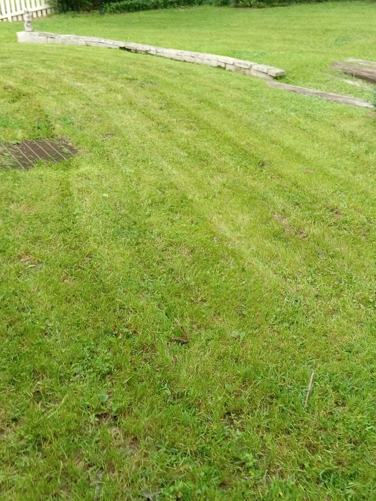 THE YARD DR - Updated June 2024 - Request a Quote - Jackson ...