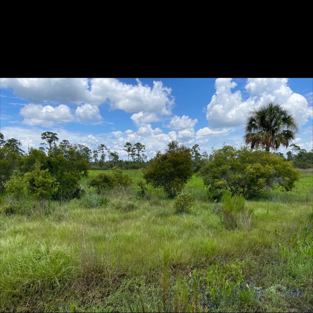 BABCOCK RANCH ECO TOURS - 303 Photos & 68 Reviews - 8502 FL-31, Punta ...