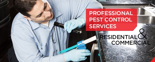 BRADENTON TERMITE AND PEST CONTROL - 20 Photos - 2709 3rd Ave W ...