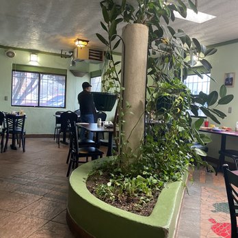 BARELAS COFFEE HOUSE - Updated September 2024 - 328 Photos & 281 Reviews - 1502 4th St SW ...