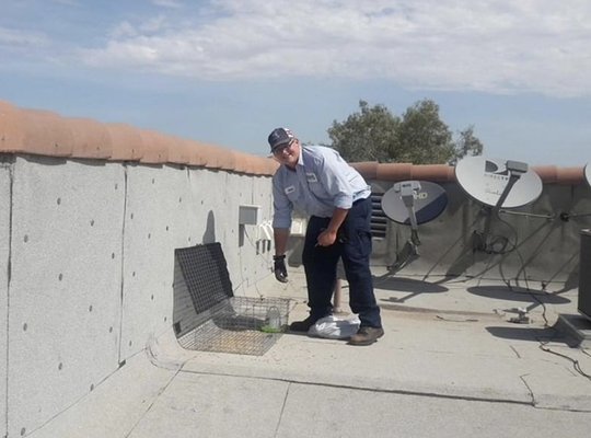 BURNS PEST ELIMINATION - Updated December 2025 - 81 Photos & 194 ...