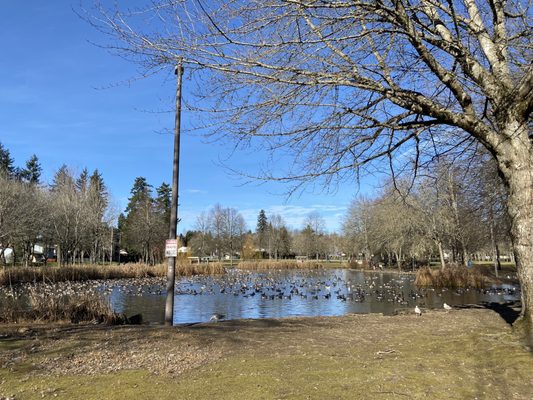 RED SUNSET PARK - Updated October 2025 - 42 Photos - 2403 NE Red Sunset ...