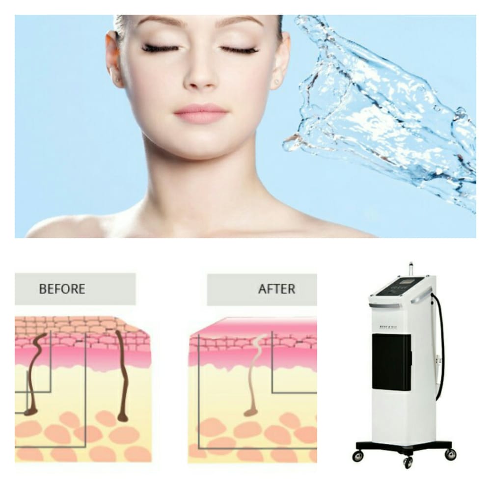 SKIN ISLAND - 15 Photos 【24317 Pennsylvania Ave, Lomita, California ...