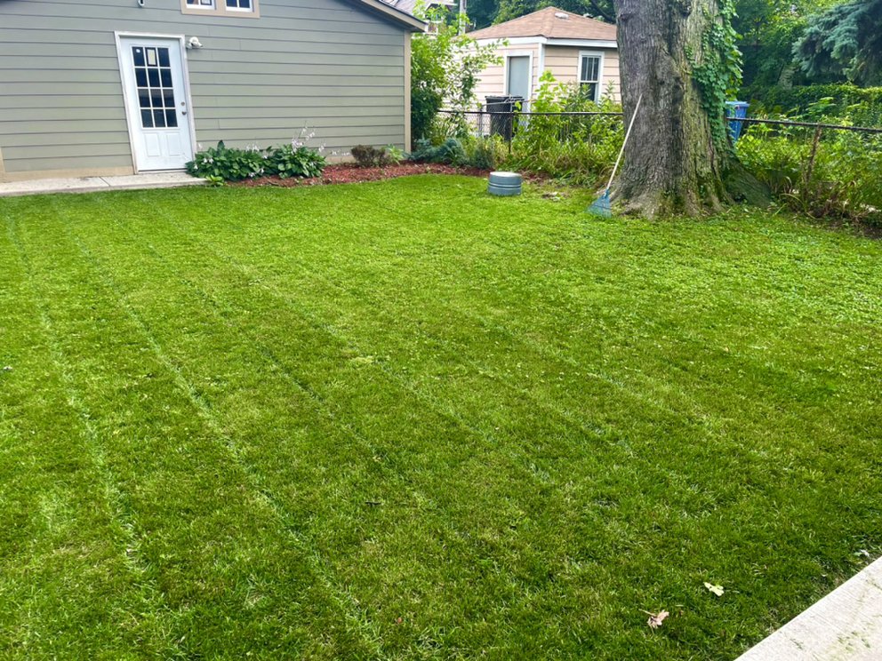 FINEST CUT LANDSCAPING - Chicago, Illinois - Gardeners - Phone Number ...