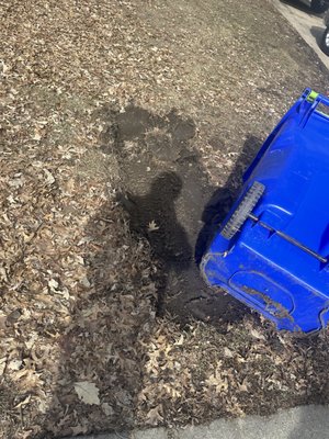 KC DISPOSAL - Updated October 2025 - 16 Photos & 76 Reviews - 10011 ...