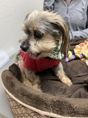 SOUTH COUNTY ANIMAL HOSPITAL - Updated December 2025 - 63 Photos & 144 ...