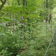 SKY HIGH ADVENTURE PARK - 63 Photos & 31 Reviews - 6557 Holiday Valley ...