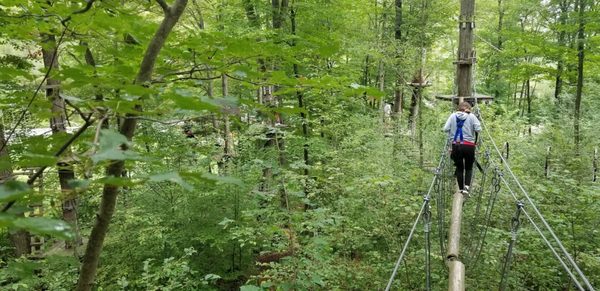 SKY HIGH ADVENTURE PARK - Updated July 2025 - 70 Photos & 36 Reviews ...