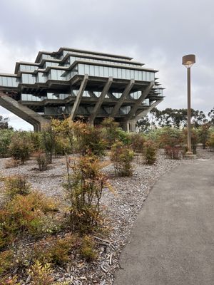 GEISEL LIBRARY - Updated December 2025 - 179 Photos & 75 Reviews - 9500 ...