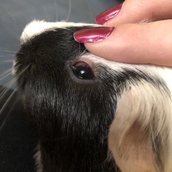 COUNTRYMAX - Updated July 2025 - 84 Photos & 27 Reviews - 4575 W ...