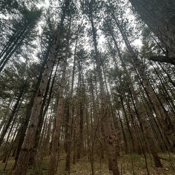 PROVIN TRAILS - Updated November 2025 - 29 Photos & 12 Reviews - 2900 4 ...