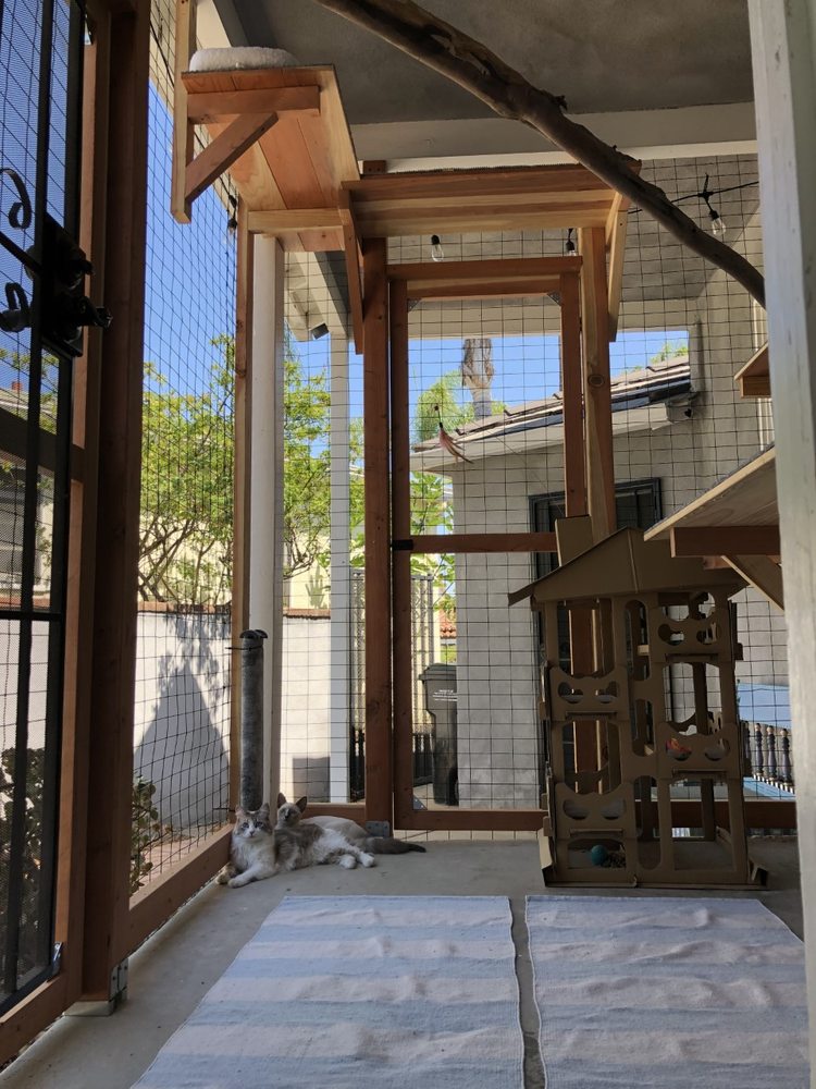 CLEAR CHOICE CONSTRUCTION - Updated June 2024 - 95 Photos - Juneau ...