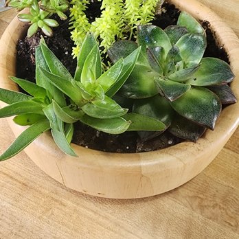 SUIPI’S EAST END EATERY - Updated October 2025 - 34 Photos & 18 Reviews ...