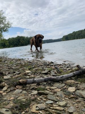 CODORUS STATE PARK - Updated August 2024 - 45 Photos & 32 Reviews ...