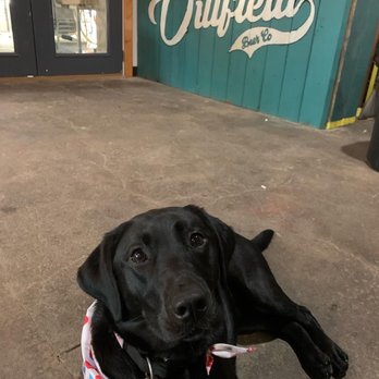 OUTFIELD BEER - Updated August 2025 - 47 Photos & 17 Reviews - 611 W ...