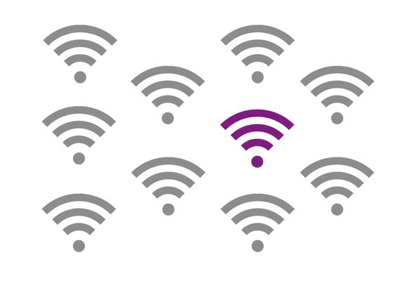 PURPLE COW INTERNET - Updated January 2026 - 13 Photos & 28 Reviews ...