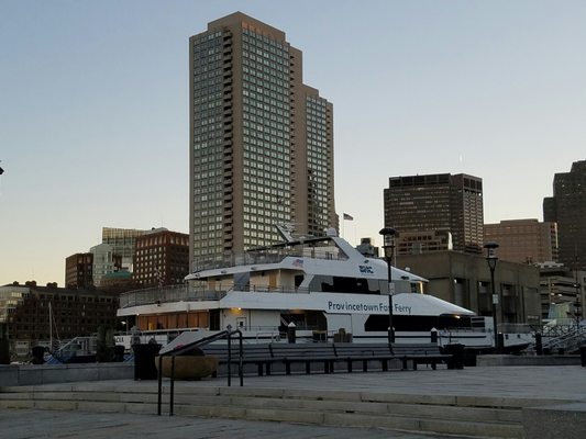 PROVINCETOWN FAST FERRY - 15 Photos & 27 Reviews - 63 Long Wharf ...