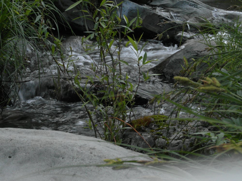 BOOTLEGGER CAMPGROUND - Updated December 2025 - 9 Oak Creek Dr, Sedona ...