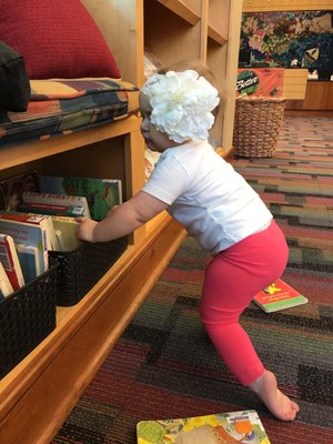 BLOUNT COUNTY PUBLIC LIBRARY - Updated July 2025 - 18 Photos & 14 ...