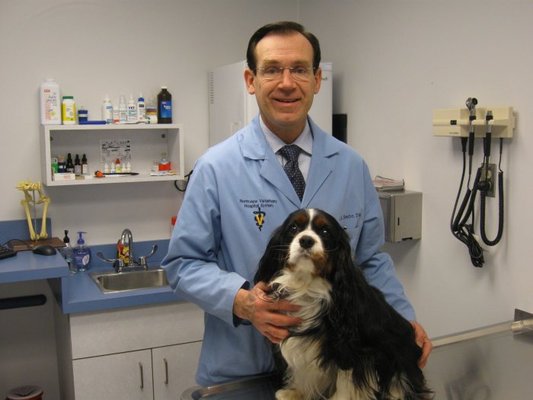 VCA NORTHVIEW ANIMAL HOSPITAL SPECIALTY REFERRAL CENTER - Updated March ...