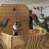 Magnolia Bird Farm - 121 Photos & 149 Reviews - Pet Stores - 8990 ...