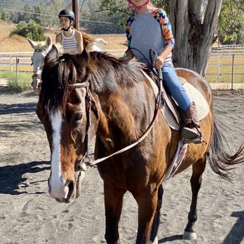 BLOSSOM HILL RANCH - Updated December 2025 - 56 Photos & 38 Reviews ...