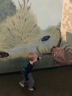 INSECTROPOLIS - 39 Photos & 22 Reviews - 1761 Rte 9, Toms River, New Jersey - Children's Museums ...