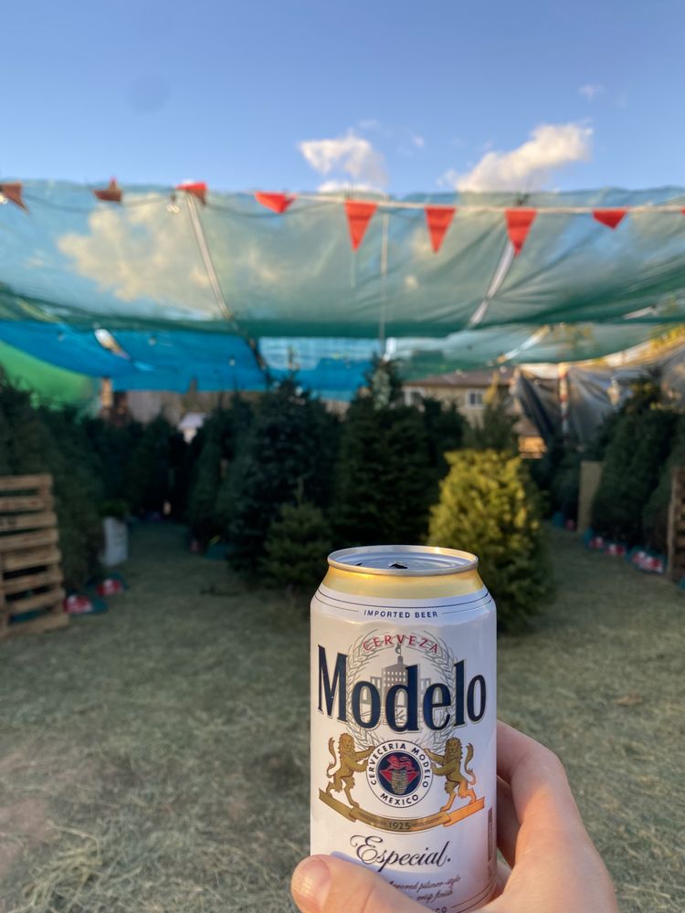 MISTLETOE TREE FARM - TEMP. CLOSED - Updated January 2025 - 13 Photos ...