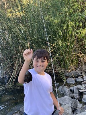 DAN FOLEY PARK - Updated April 2025 - 73 Photos & 10 Reviews - 1461 N ...