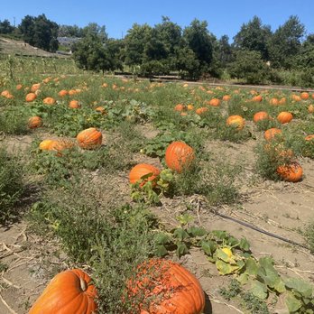 BATES NUT FARM - 1662 Photos & 505 Reviews - 15954 Woods Valley Rd ...