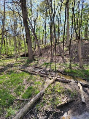 BIG RUN PARK - Updated October 2025 - 14 Photos - 4201 Clime Rd ...