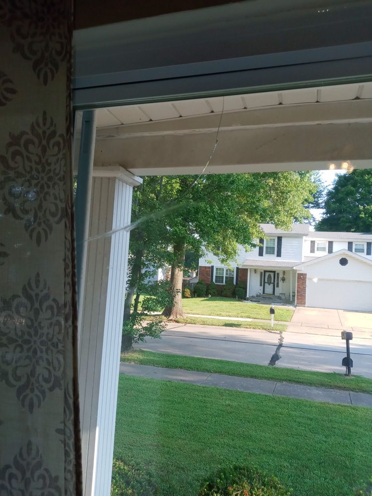 PENNY WINDOW - Updated July 2025 - 10 Reviews - 9910 Halls Ferry Rd ...