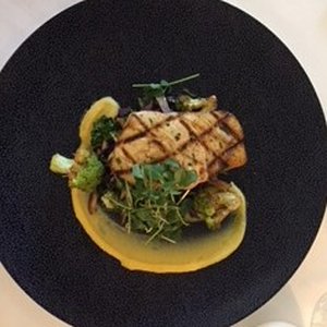 THE OCCIDENTAL - CLOSED - 432 Photos & 432 Reviews - 1475 Pennsylvania ...