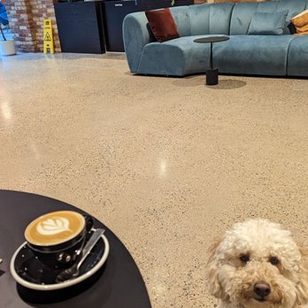 FRGMNT COFFEE - ST. ANTHONY MAIN - Updated October 2024 - 78 Photos ...