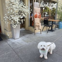 LAVASH - Updated January 2026 - 1607 Photos & 1824 Reviews - 511 Irving ...